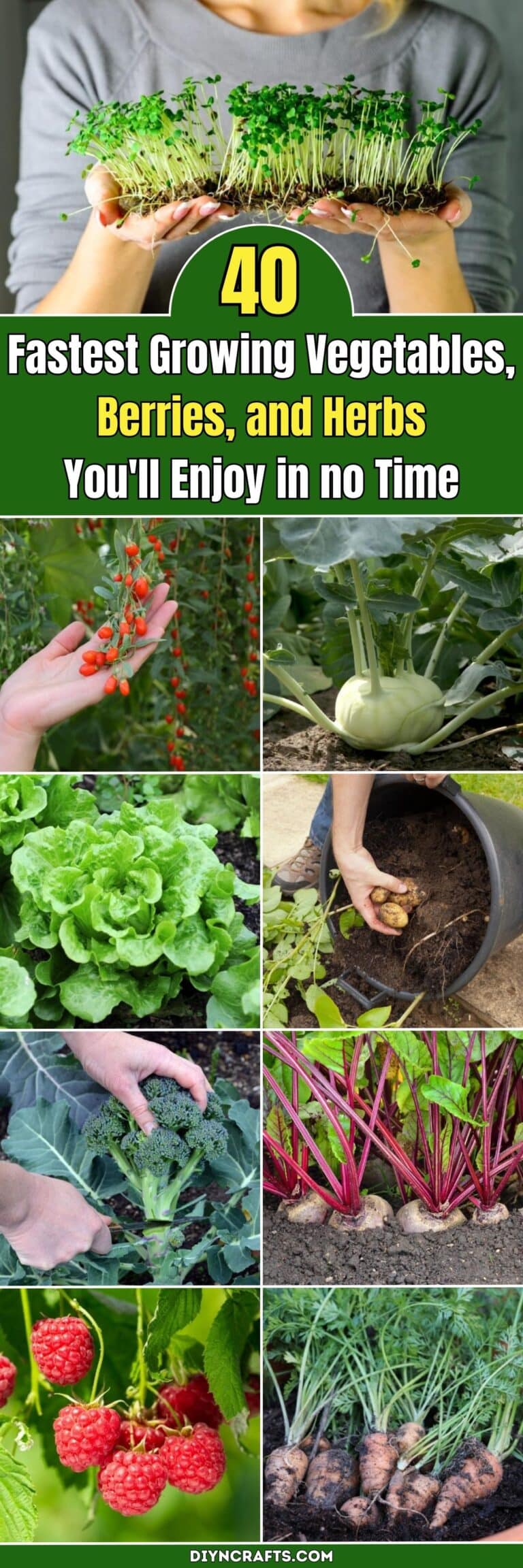 40 Fastest Growing Vegetables, Berries, and Herbs You'll Enjoy in no ...